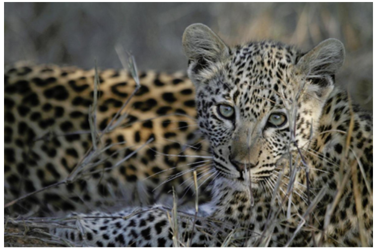 Thursday, 19th October 2023 Edukemy's Daily Current Affairs for UPSC IAS